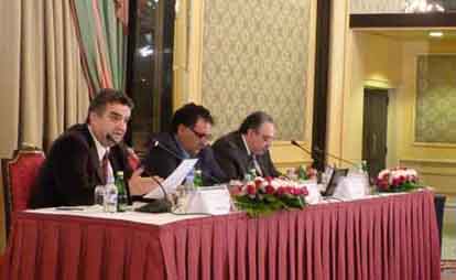 The Arab Revolutions and Democracy: The Roots of the Sectarian Divide ...